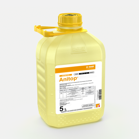 Fongicides - Agricultural Solutions