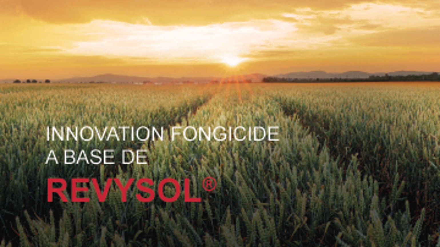 Revystar® XL, le nouveau pilier de votre protection fongicid