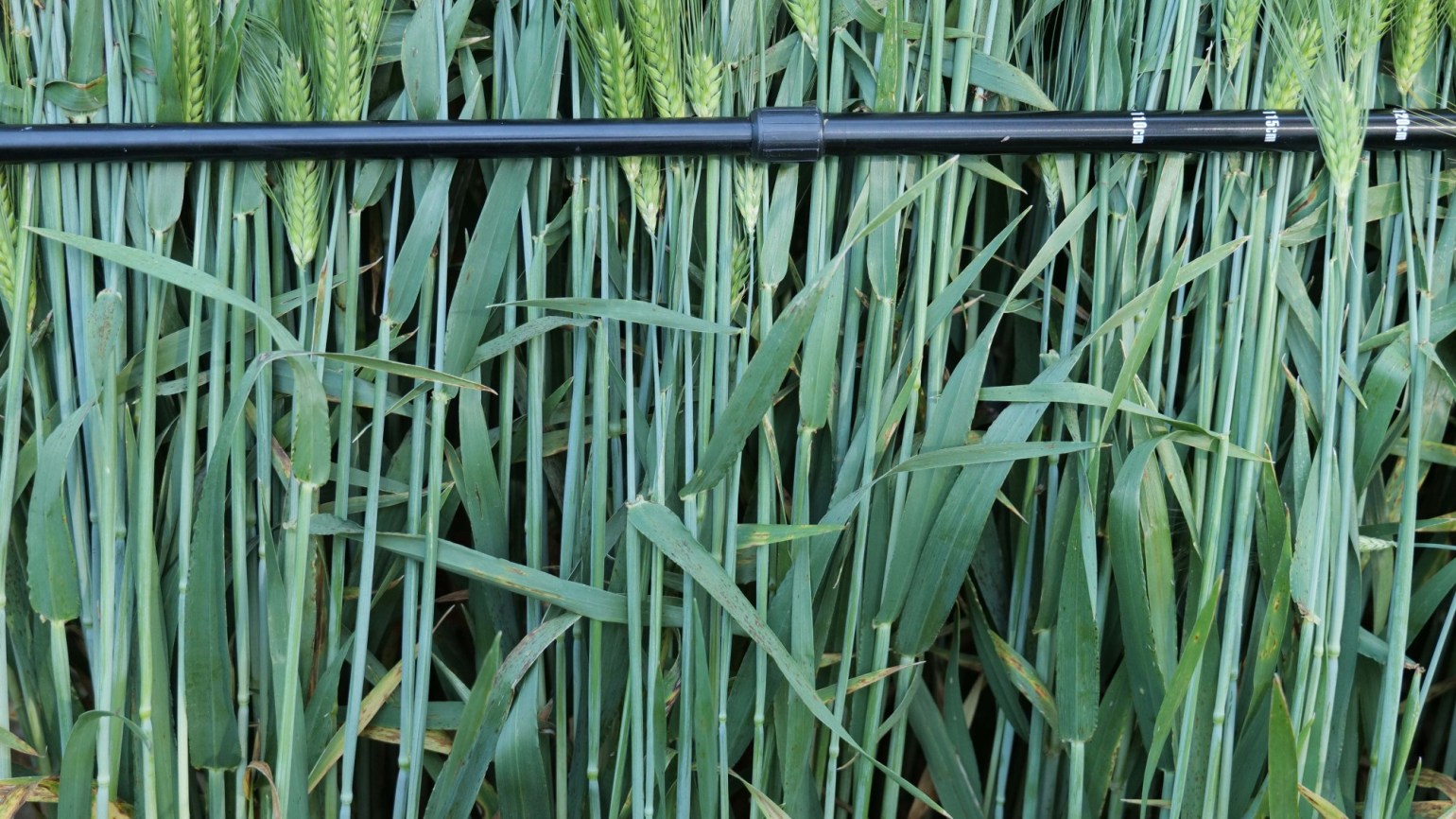 Outil de comparaison