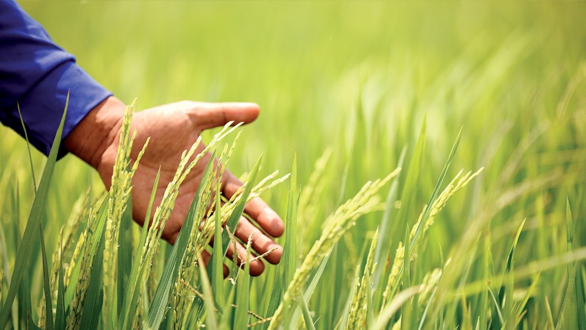 Une entreprise du groupe BASF