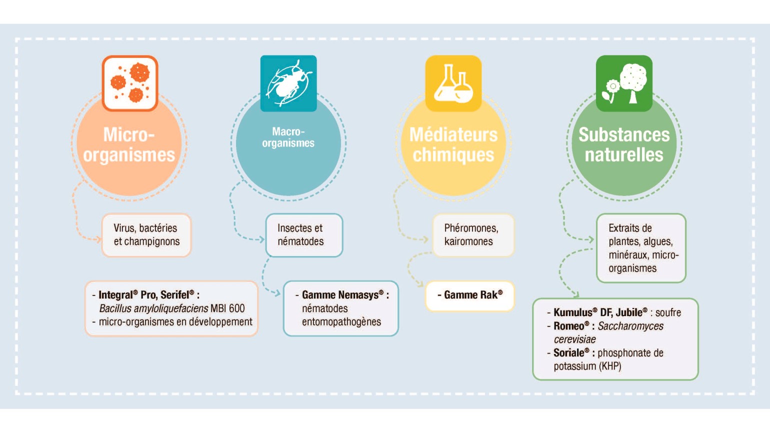 Le biocontrôle : un marché en progression