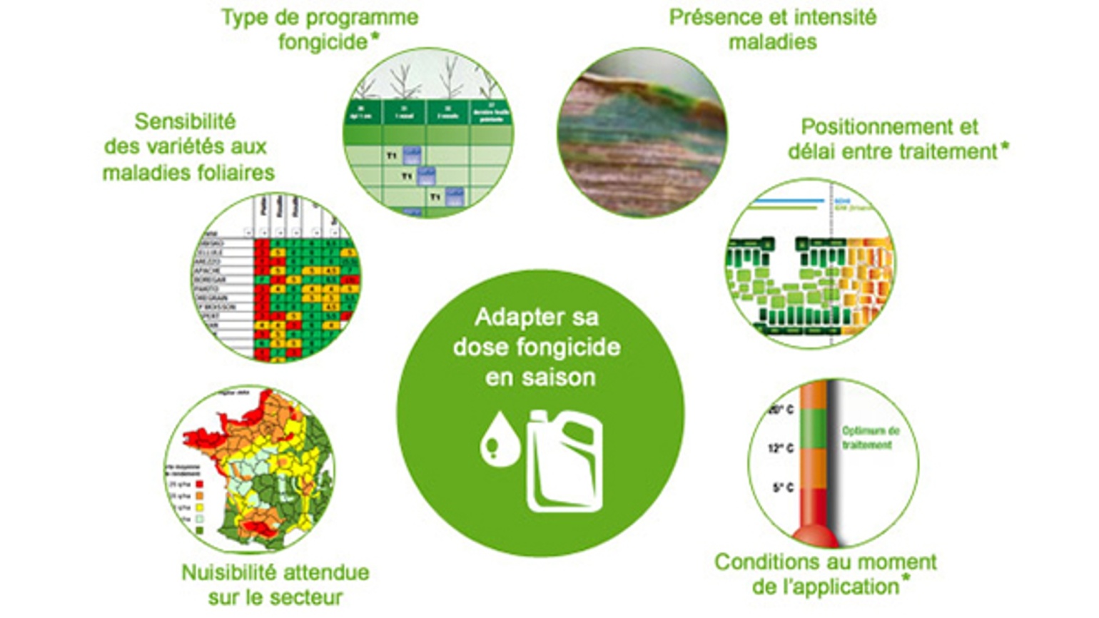 Dose fongicide T2 à base de Xemium - Protection fongicide blé