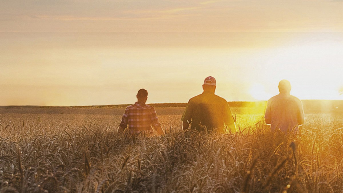 REVYSTAR® XL - Agricultural Solutions