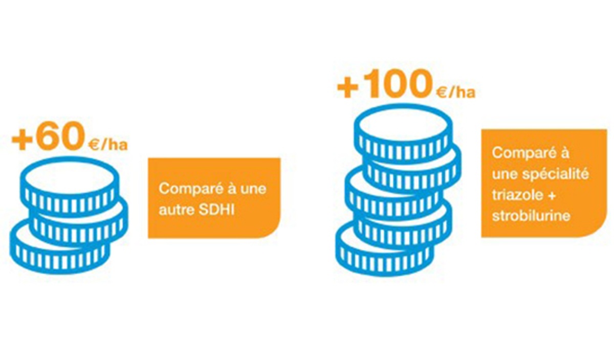 Les solutions à base de Xemium®, un investissement gagnant - Protection ...