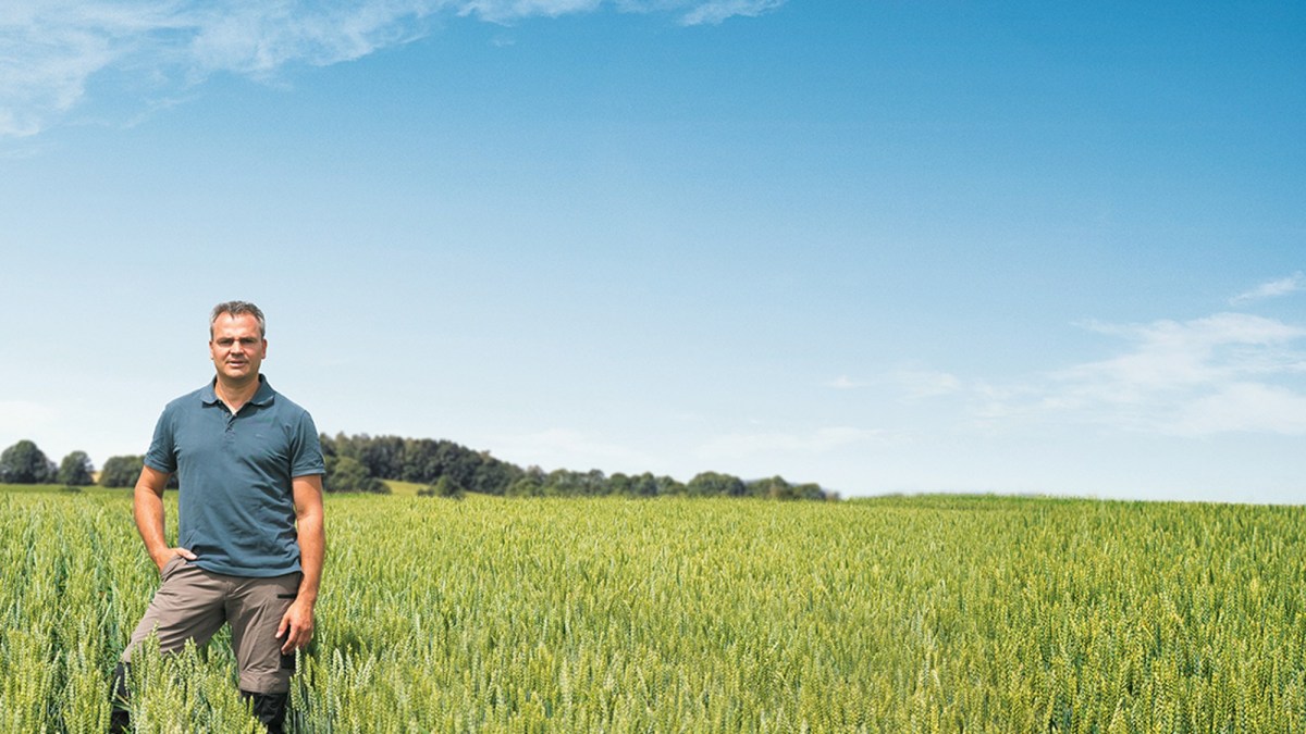 Ils parlent de Revystar® XL