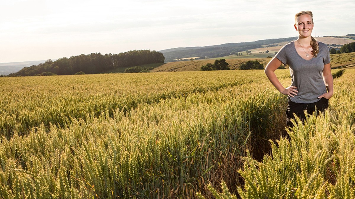 Revystar® XL, le nouveau pilier de votre protection fongicid