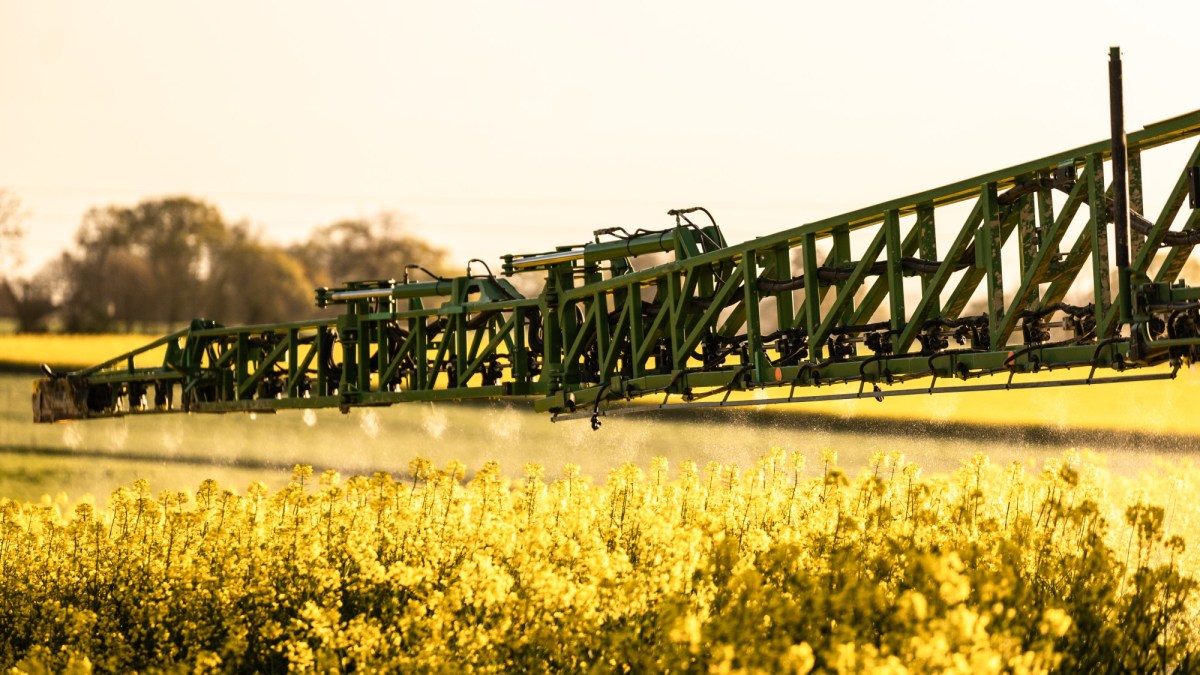 Protection fongicide colza