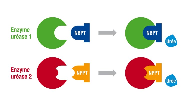 LIMUS PERFORM - Agricultural Solutions