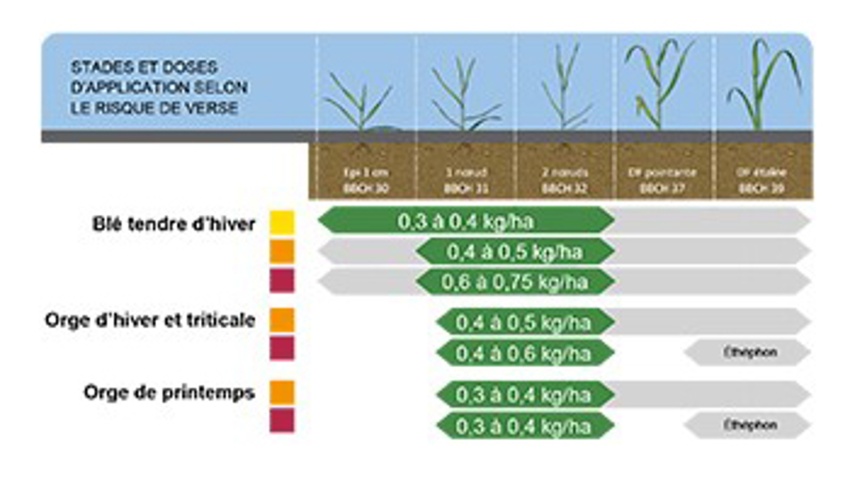 MEDAX® MAX - Agricultural Solutions