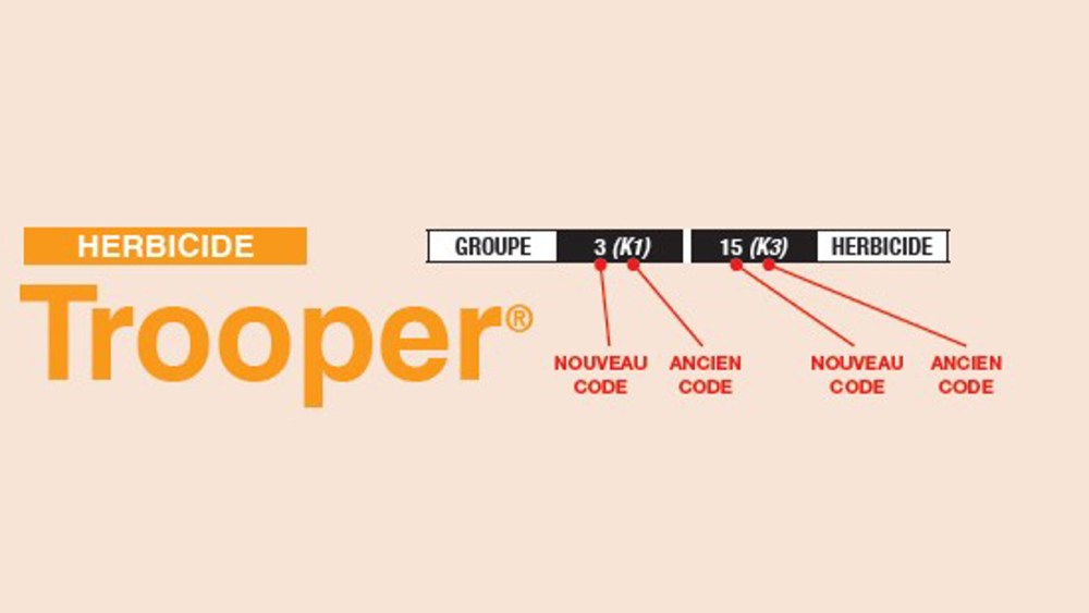 Evolution de la classification HRAC