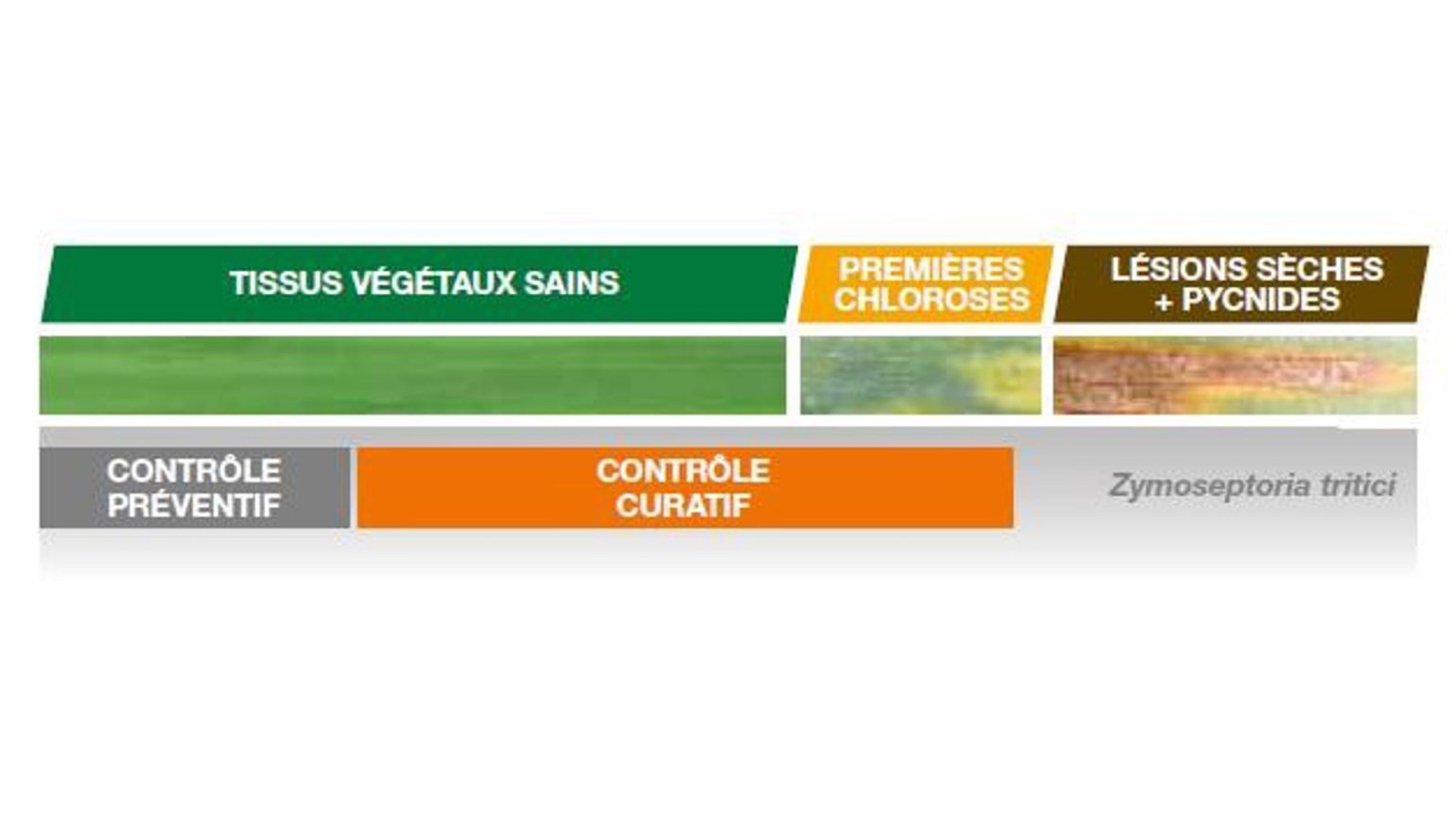 REVYSTAR® XL - Agricultural Solutions