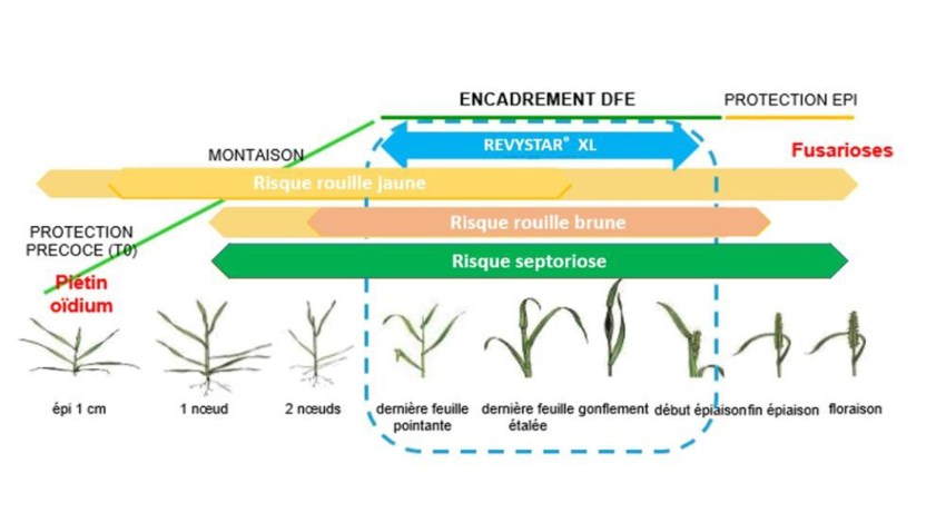 REVYSTAR® XL - Agricultural Solutions