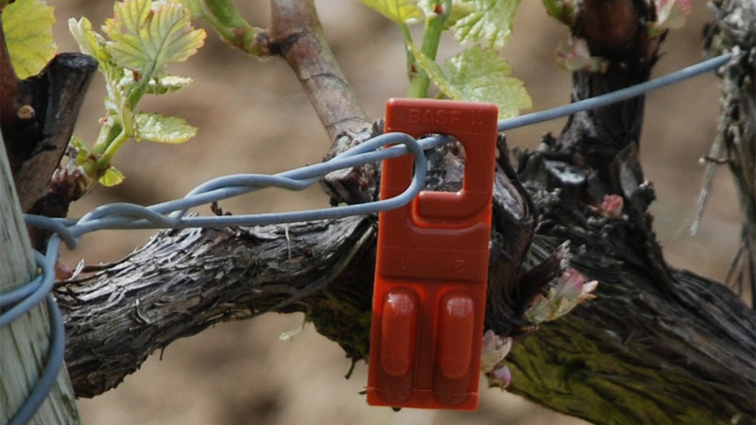 RAK 1+2 MIX - Agricultural Solutions