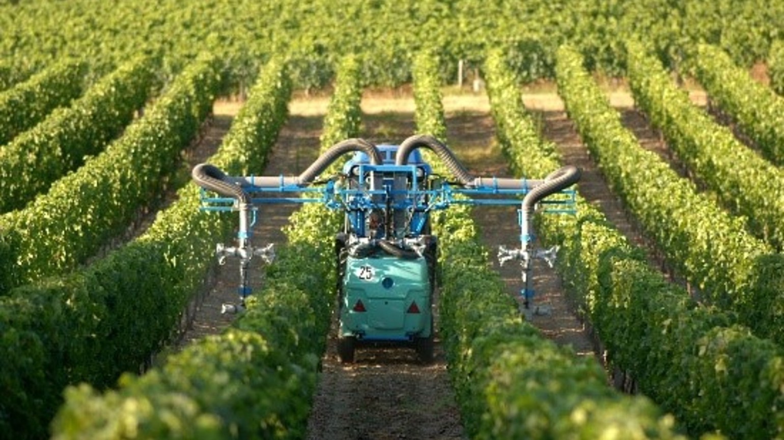 Stade de la vigne : les traitements phytosanitaires