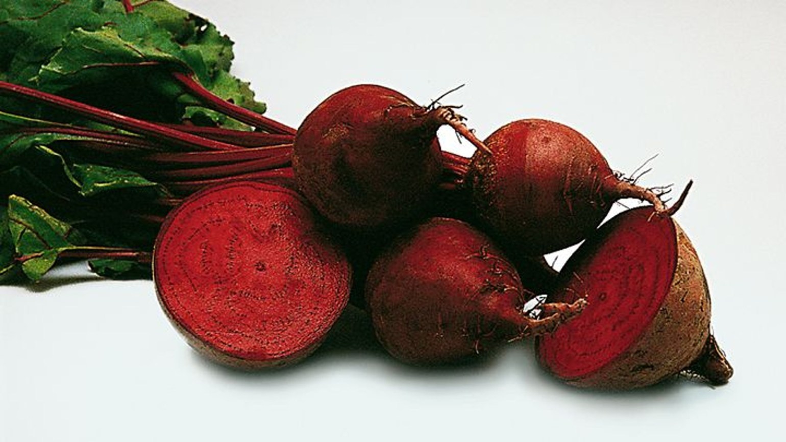 Betterave fourragère porte-graine - Agricultural Solutions